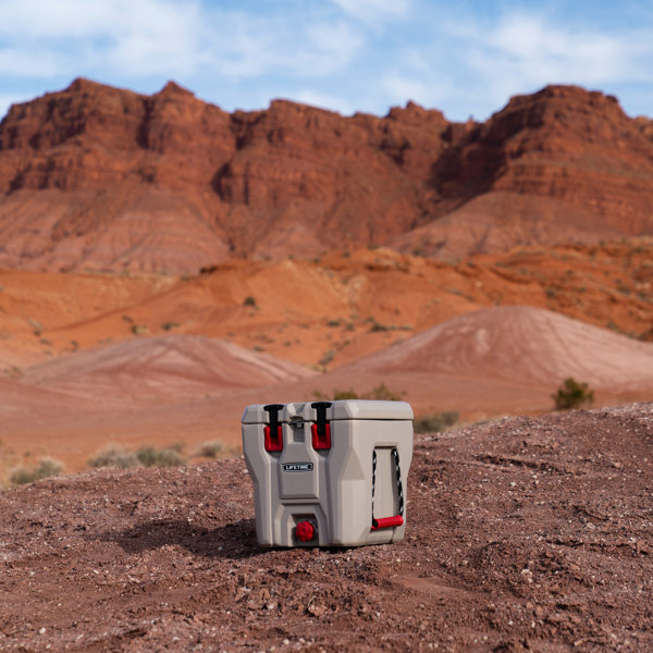 Lifetime 20 Qt. Ice Chest Cooler & Reviews - Wayfair Canada