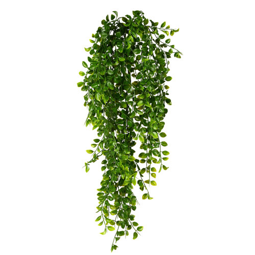 Ophelia & Co. Mini Leaf Hanging Bush & Reviews | Wayfair