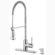 Tosca Ferrara Pull Down Single Handle Kitchen Faucet & Reviews | Wayfair