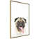 Maturi Funny Pug - Picture Frame Photograph | Wayfair.co.uk
