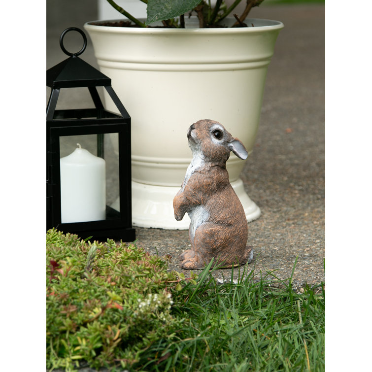 August Grove® Jayleen Standing Bunny Statue & Reviews | Wayfair