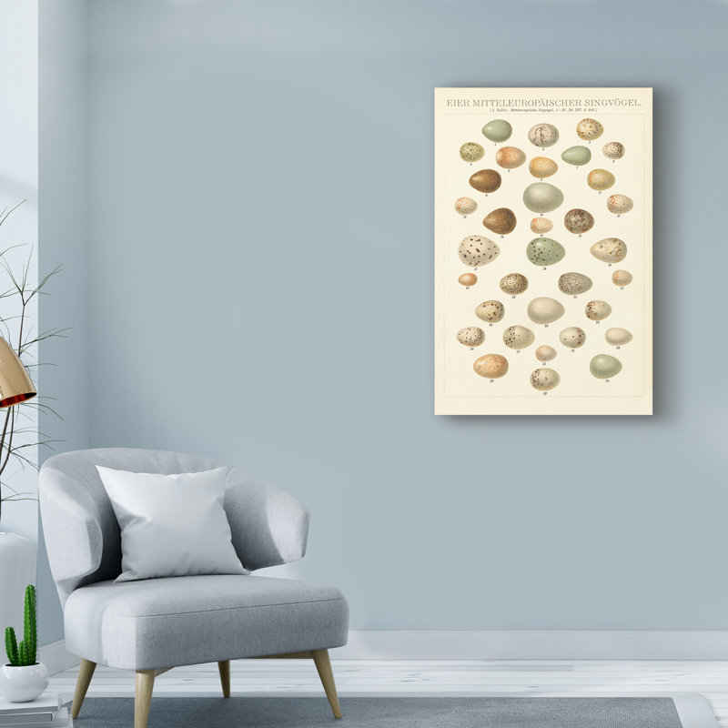 Bless international Songbird Egg Chart On Canvas by Wild Apple ...