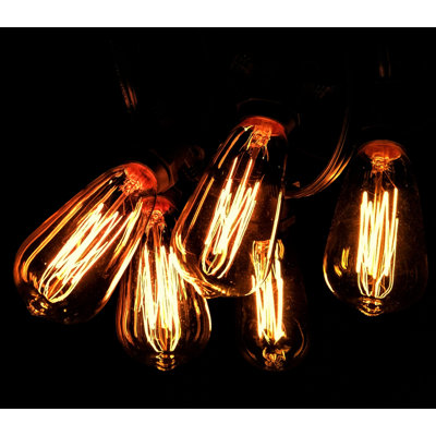 Arlmont & Co. Commercial Edison String Lights Outdoor 80 - Bulb 100 ...
