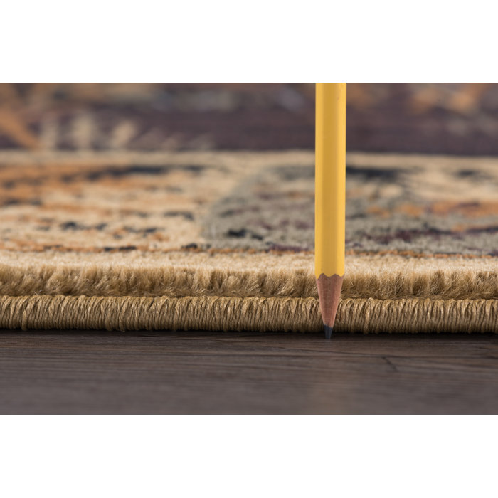 Threadbind Performance Beige/Brown Rug & Reviews | Wayfair