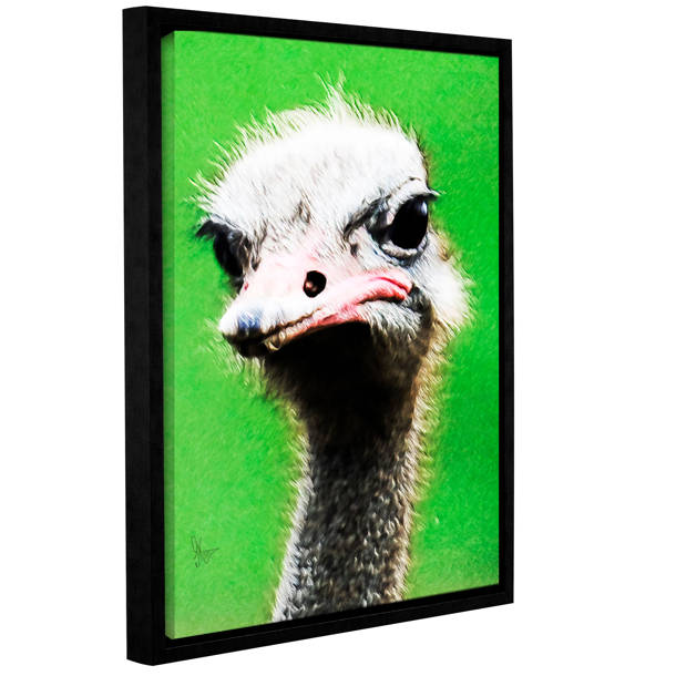 Design Toscano Ostrich Bird Trophy Wall Décor & Reviews | Wayfair