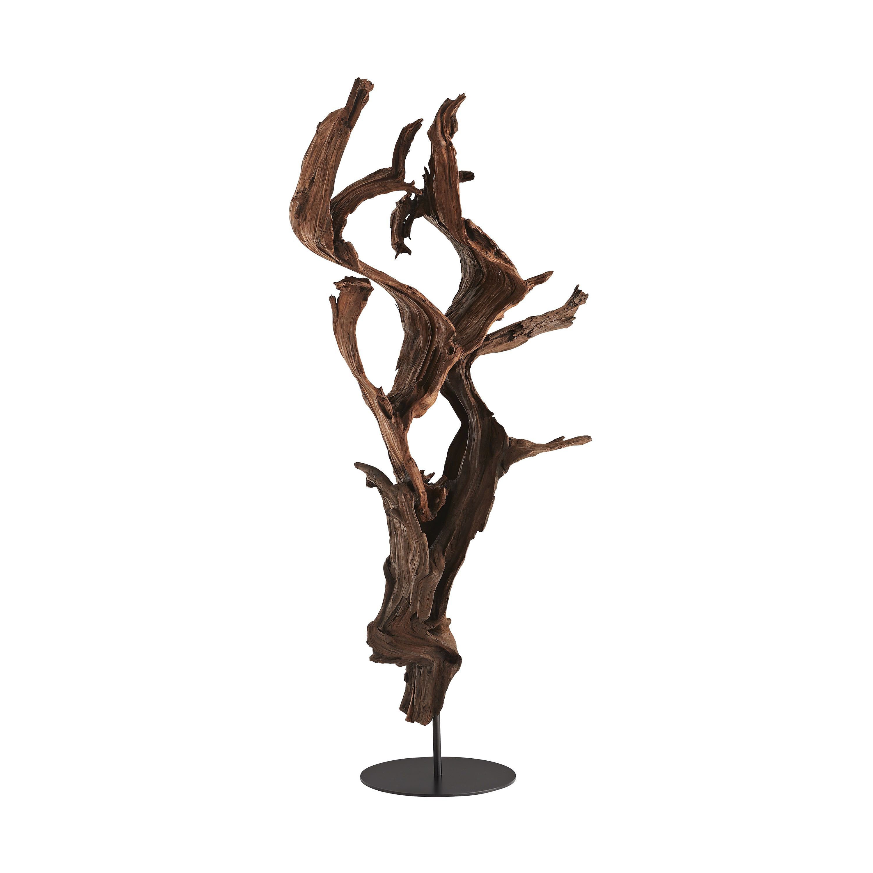 ARTERIORS Kazu Dragon Tree Sculpture & Reviews | Perigold