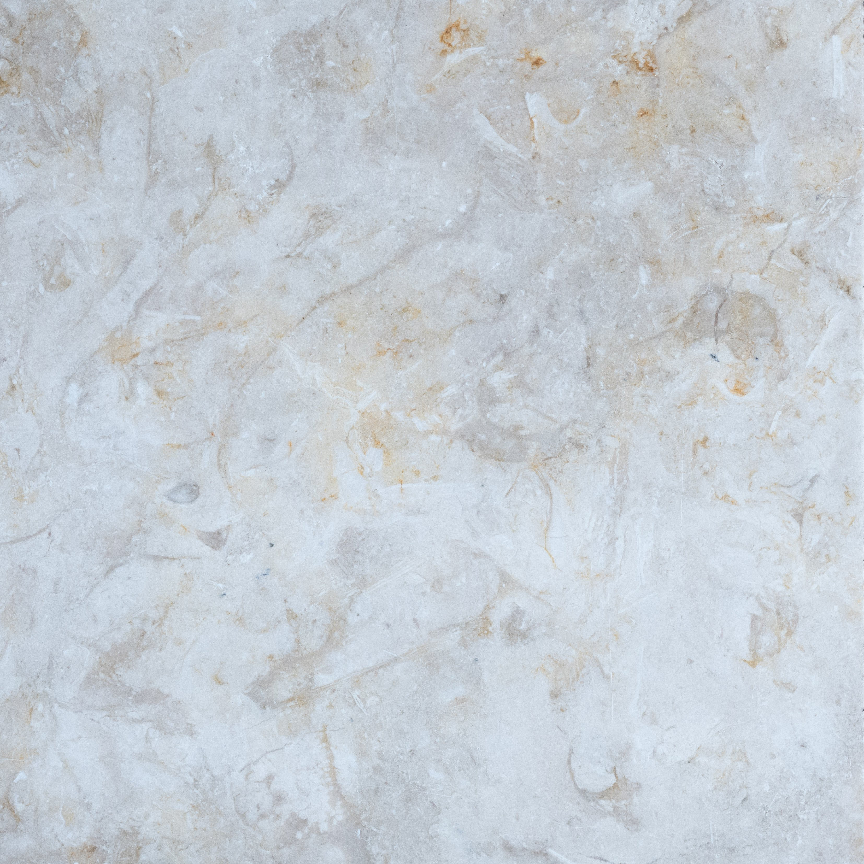 Stone & Tile Shoppe, Inc. 18" x 18" Limestone Stone Look Wall & Floor ...