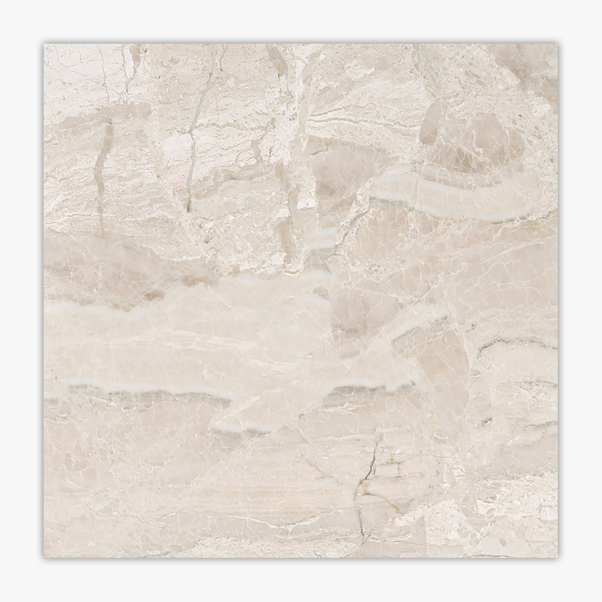 Direct Stone Source 18" x 18" Stone Look Wall & Floor Tile | Wayfair