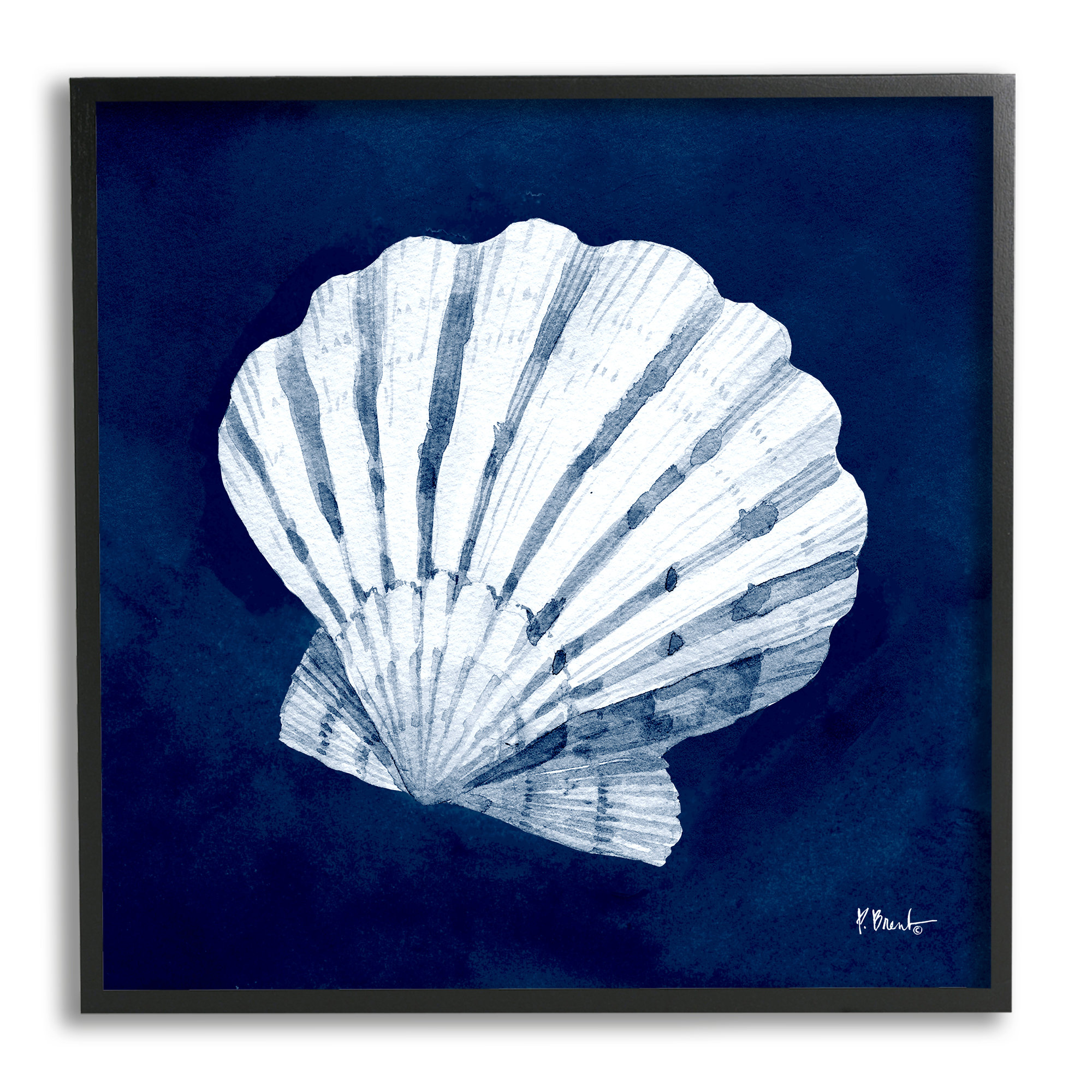Highland Dunes Cyanotype Shells Traditional Scallop by Paul Brent ...