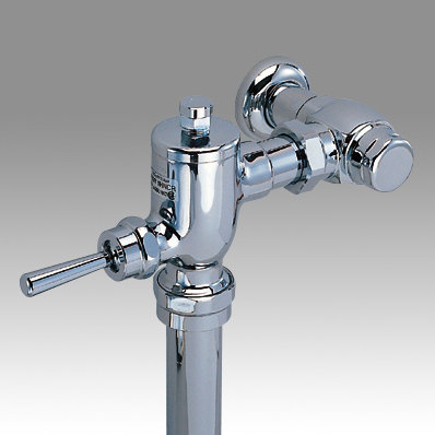 TOTO Exposed Manual Flush Valve | Wayfair