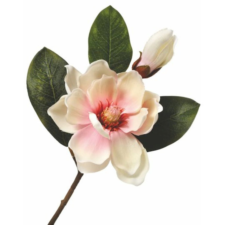The Holiday Aisle® Magnolia Stems | Wayfair