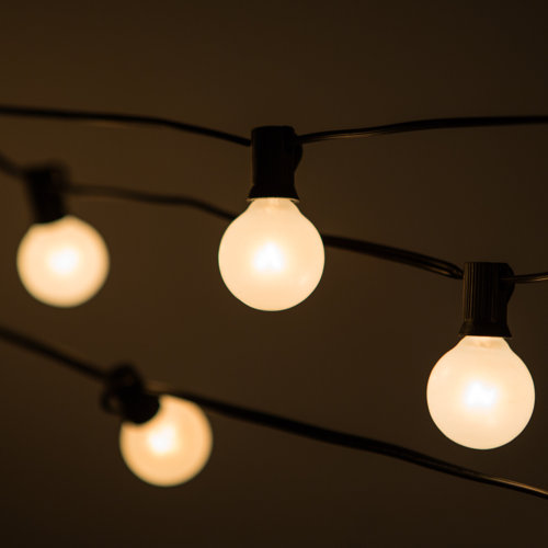 Winston Porter Tavis Outdoor 100 - Bulb 100'' Plug-in Globe String ...