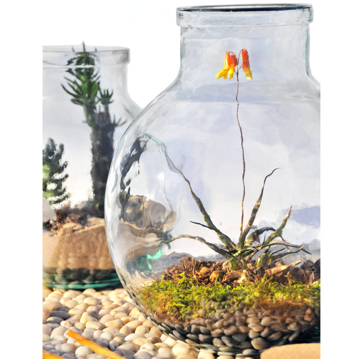 Gracie Oaks Sphere Storage Jar & Reviews | Wayfair