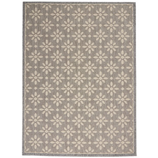 Farmhouse & Rustic Outdoor Rugs | Birch Lane