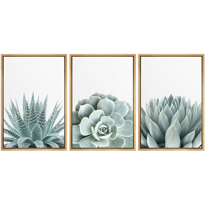 IDEA4WALL Green Succulent And Cactus Variety Wilderness Nature Framed ...