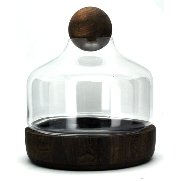 Terrarium-dome | Wayfair