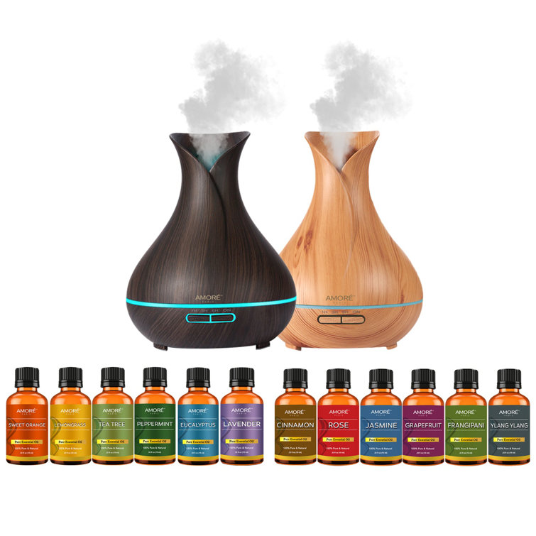 Amore Paris Ultrasonic Diffuser with Essential Oil Gift Set | Wayfair