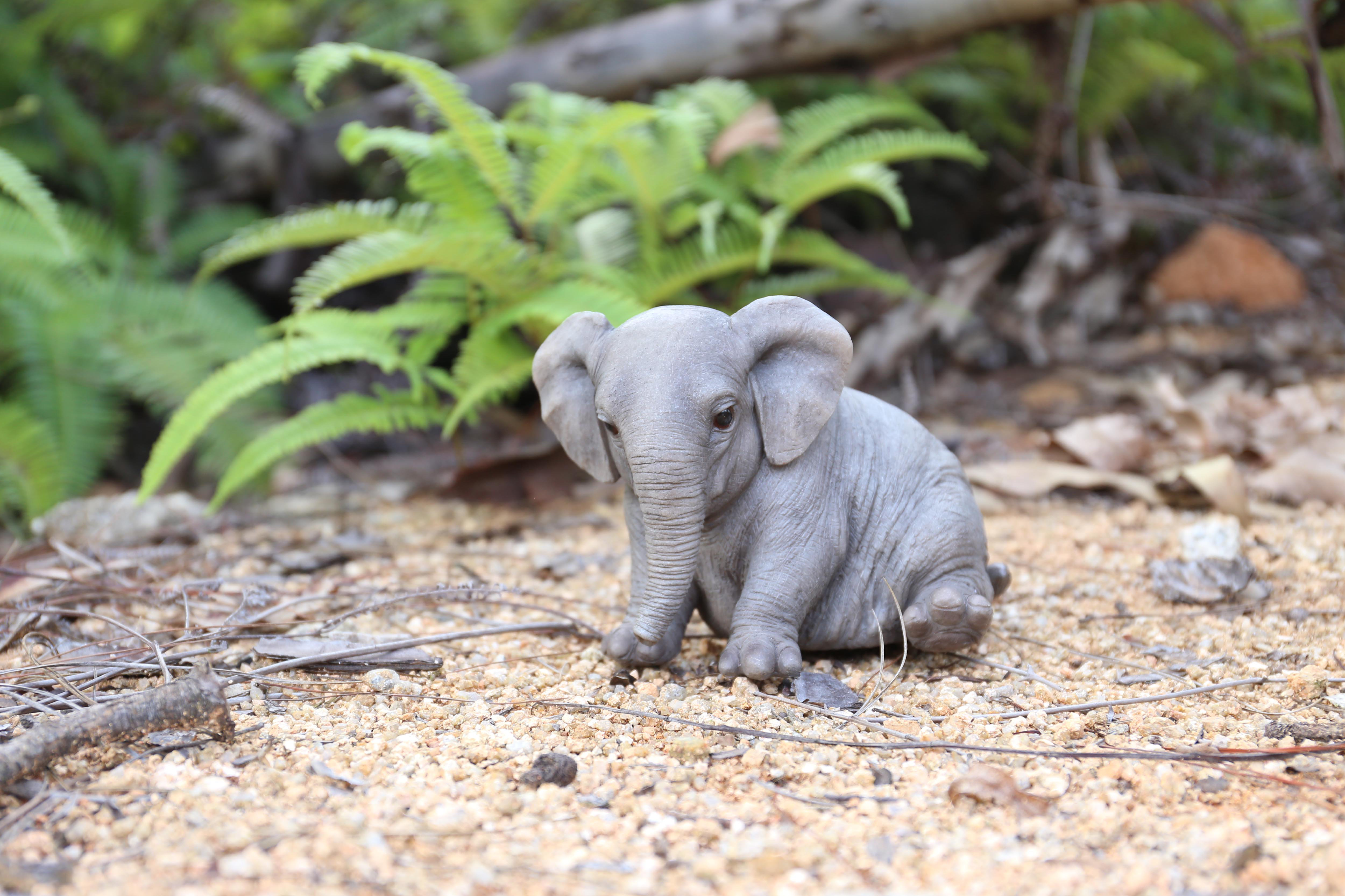 Hi-Line Gift Ltd. CHUBBY ELEPHANT SITTING & Reviews | Wayfair