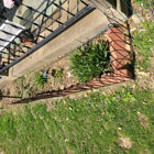 thealyn Decorative Metal Garden Fence 18" x 18" & Reviews | Wayfair