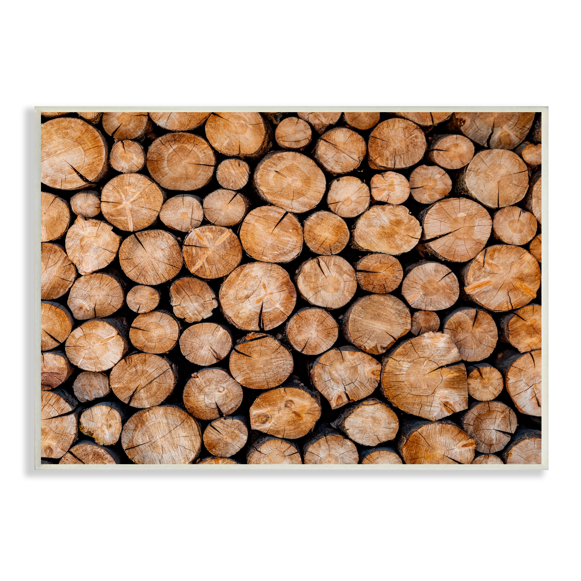 Stupell Industries Tree Logs Lumber Aerial View Modern Photography by ...