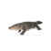Advanced Graphics American Alligator Cardboard Stand-Up & Reviews | Wayfair