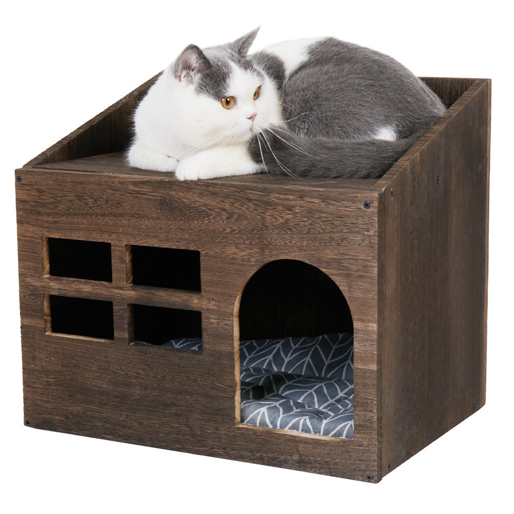 Archie & Oscar Cataleya Rectangle Cat Bed | Wayfair.co.uk