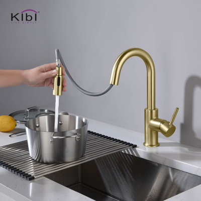 KIBI USA KIBI Pull Down Kitchen Faucet & Reviews | Wayfair
