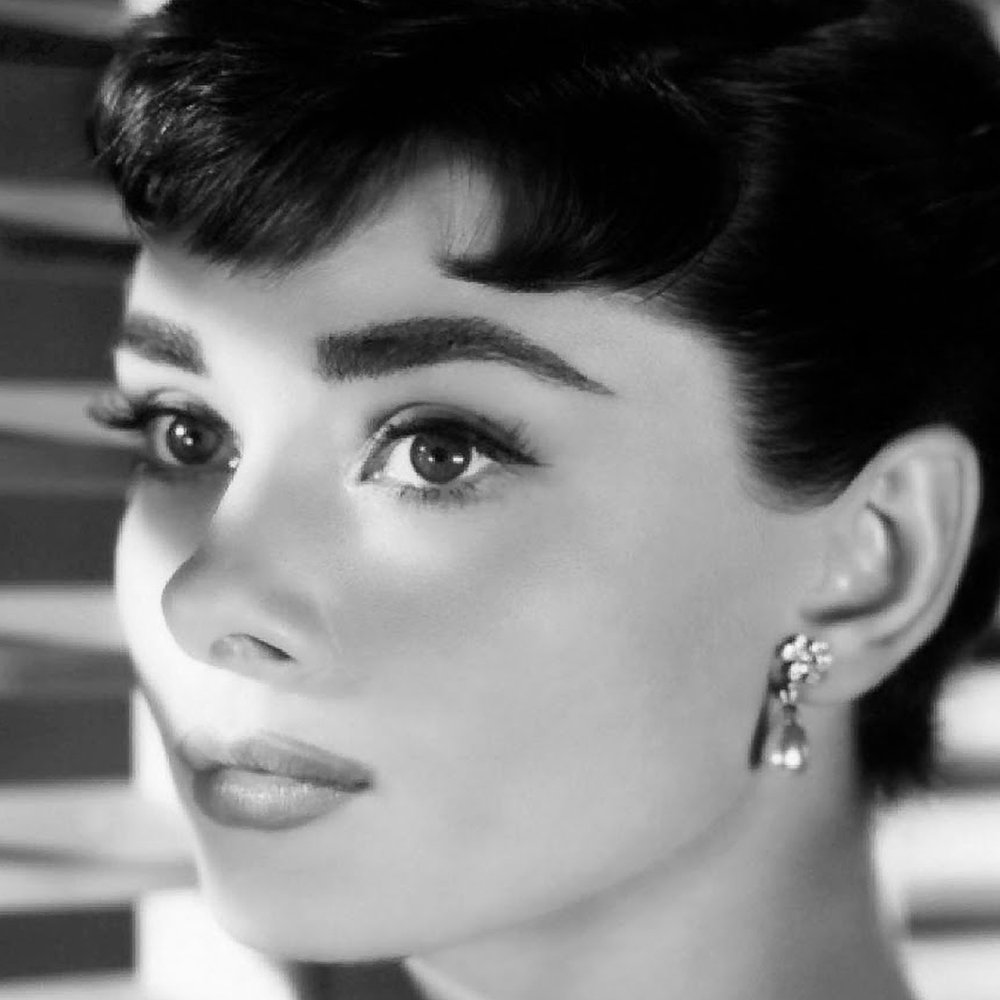House of Hampton® Audrey Hepburn Blinds - Wrapped Canvas Photograph ...