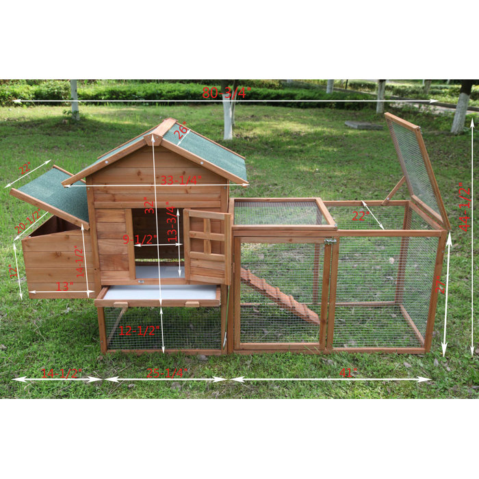 Tucker Murphy Pet™ Zebediah 12 Square Feet Chicken Coop with Chicken ...