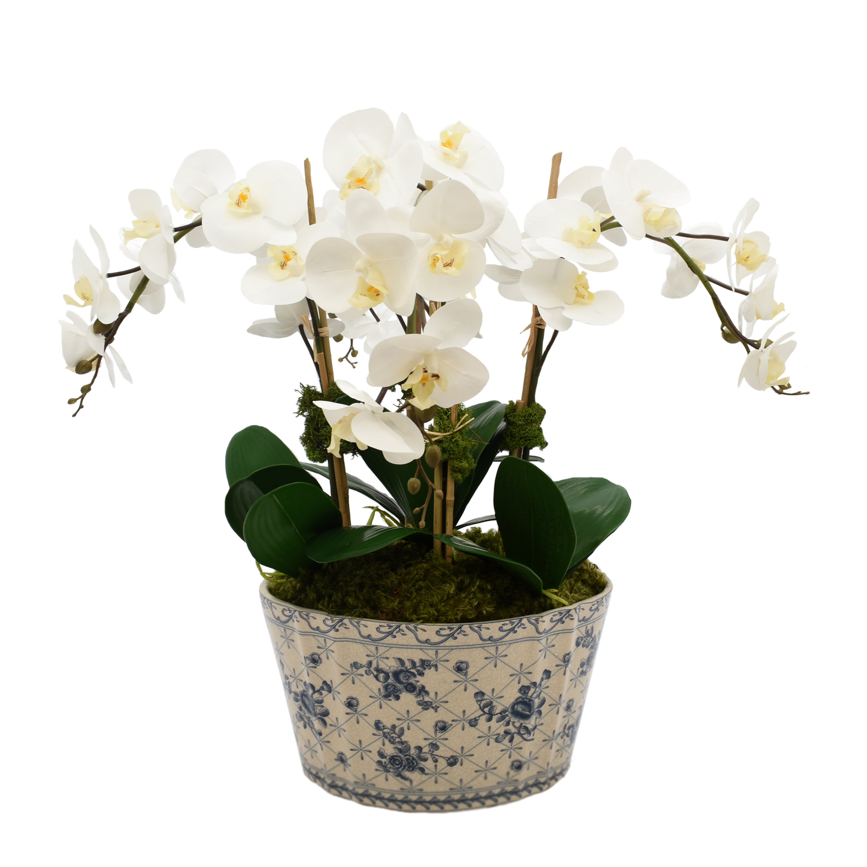 Creative Displays, Inc. Orchid Decorative Planter | Perigold