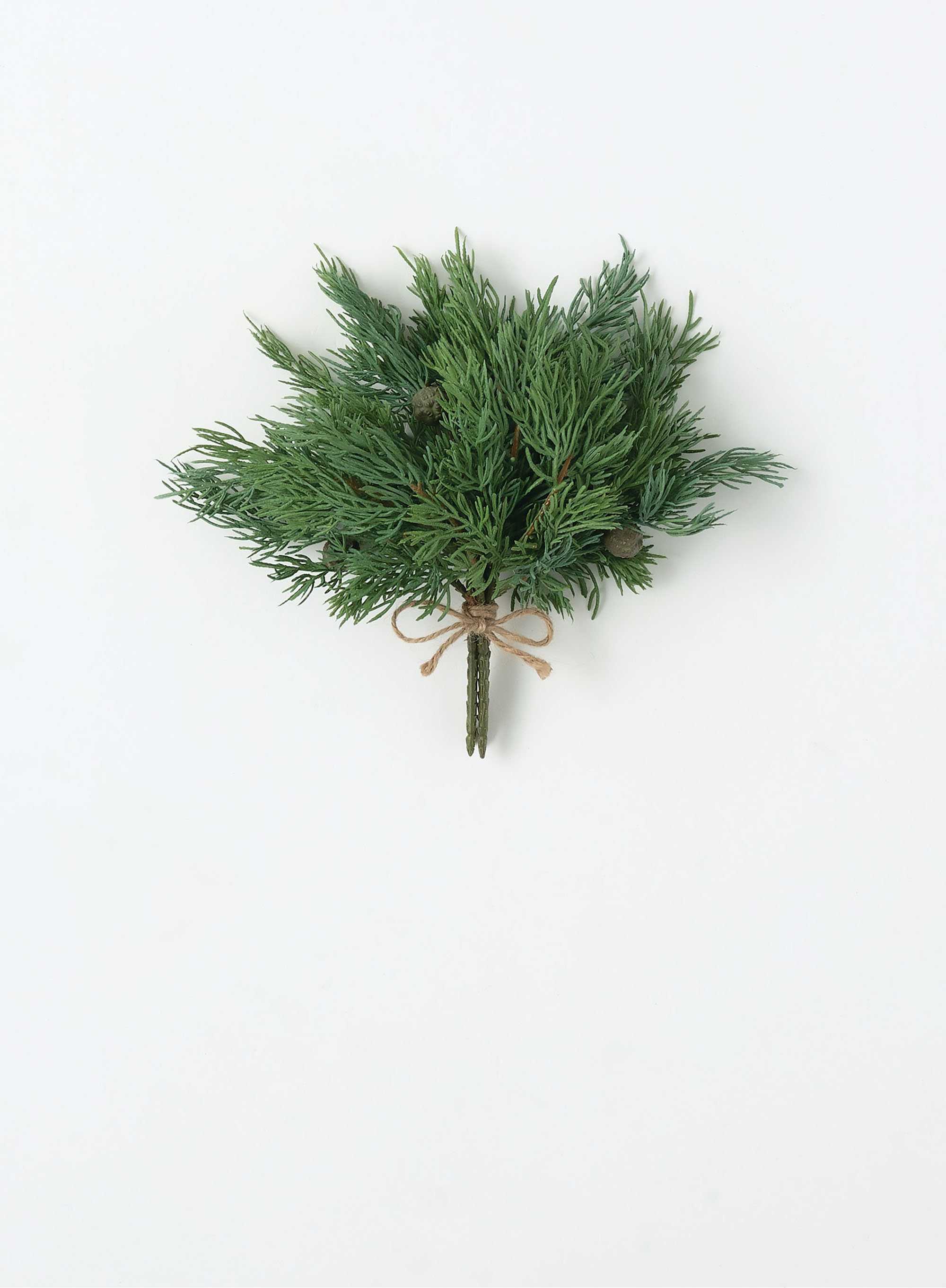 Primrue Cedar Bushes | Wayfair