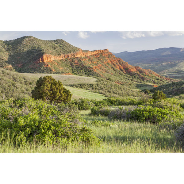 Millwood Pines Adalae Colorado Mountain Ranch by - Wrapped Canvas ...