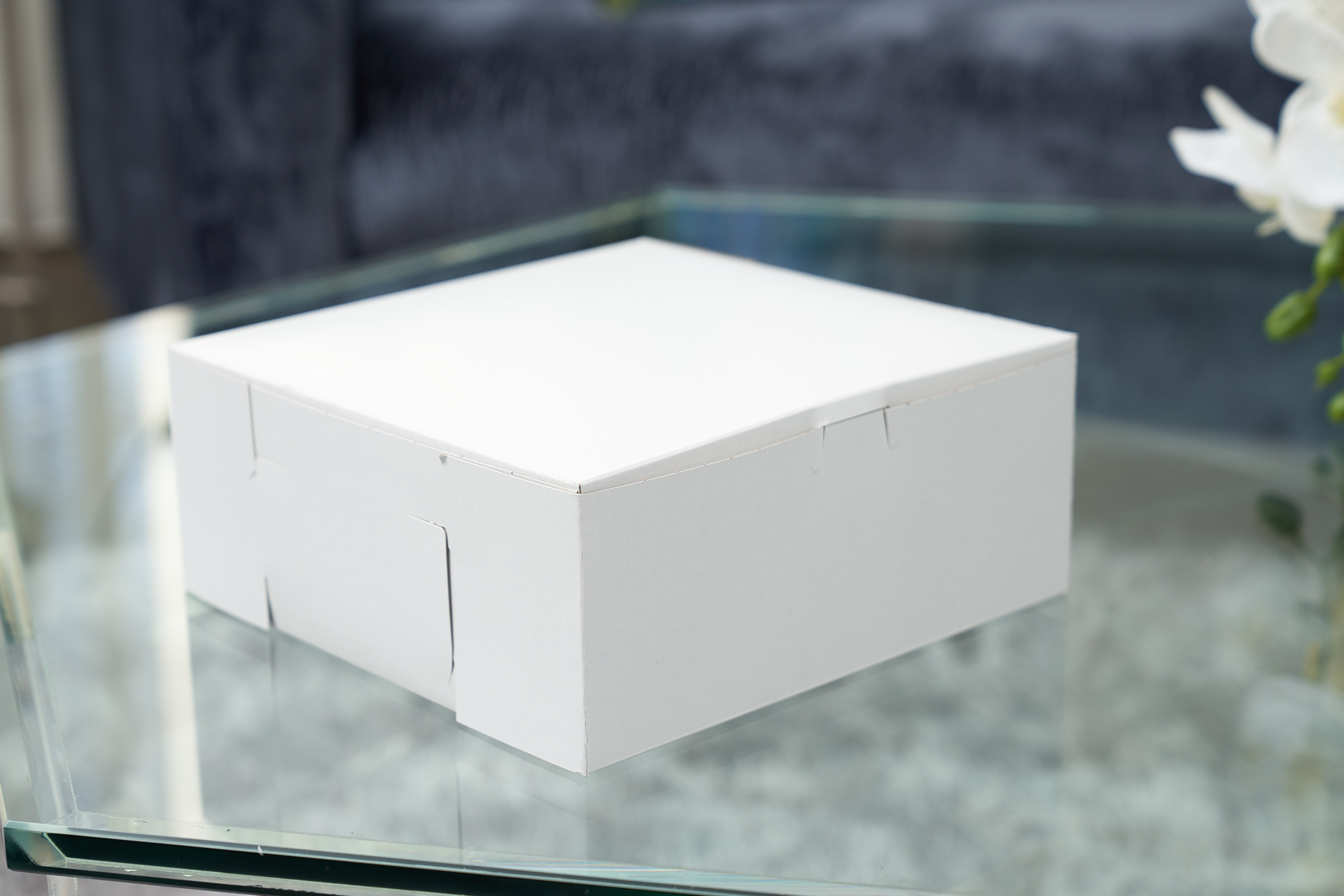 EcoQuality White Bakery Pastry Boxes for Cake and Cupcakes | Wayfair