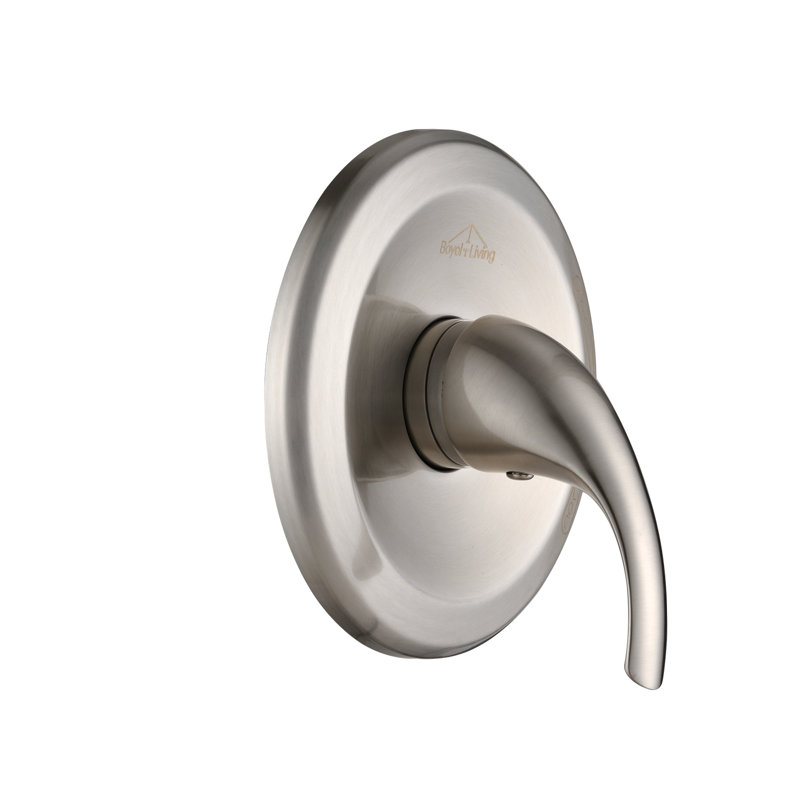 Boyel Living Shower Pressure Valve with Single Handle & Reviews | Wayfair