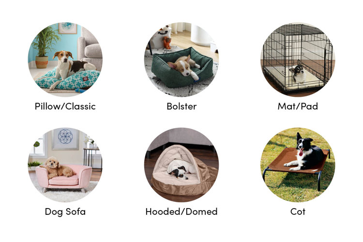 Types of Dog Beds | Wayfair