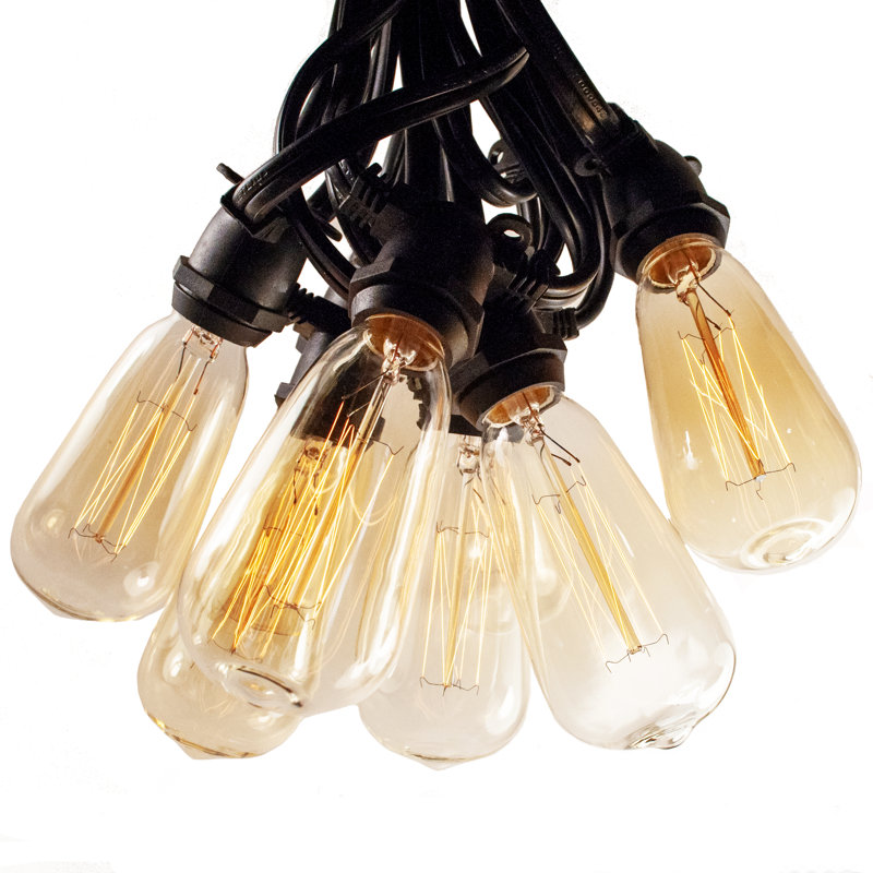 Arlmont & Co. Commercial Edison String Lights 100'' Outdoor 80 - Bulb ...