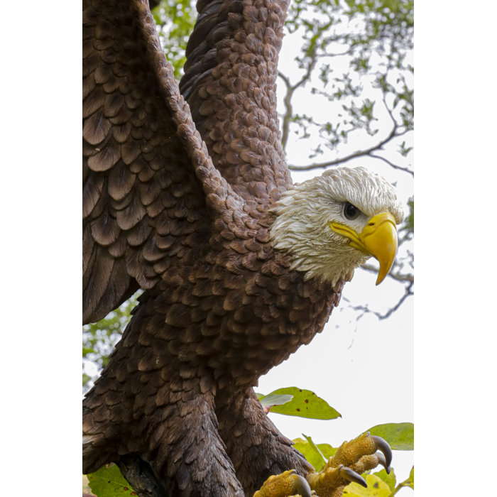 Hi-Line Gift Ltd. Large Flying Eagle Statue | Wayfair