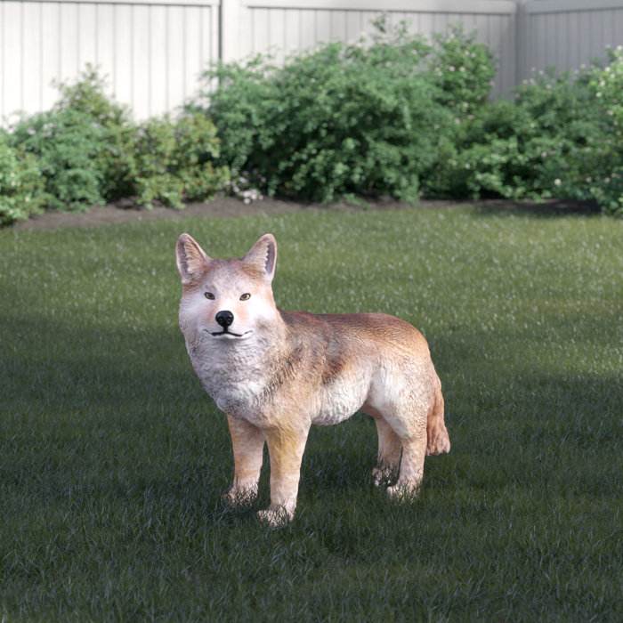 Hi-Line Gift Ltd. Coyote Standing Statue & Reviews | Wayfair