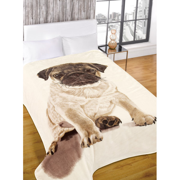 17 Stories Pug Throw & Reviews | Wayfair.co.uk