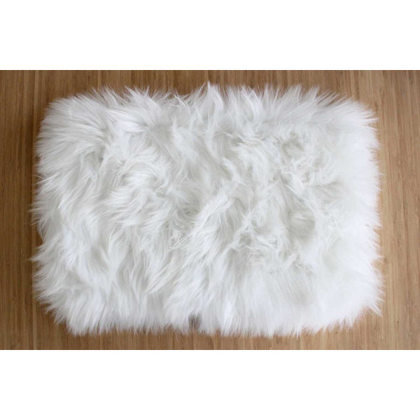 CatastrophiCreations Designer Rectangle Cat Bed | Wayfair