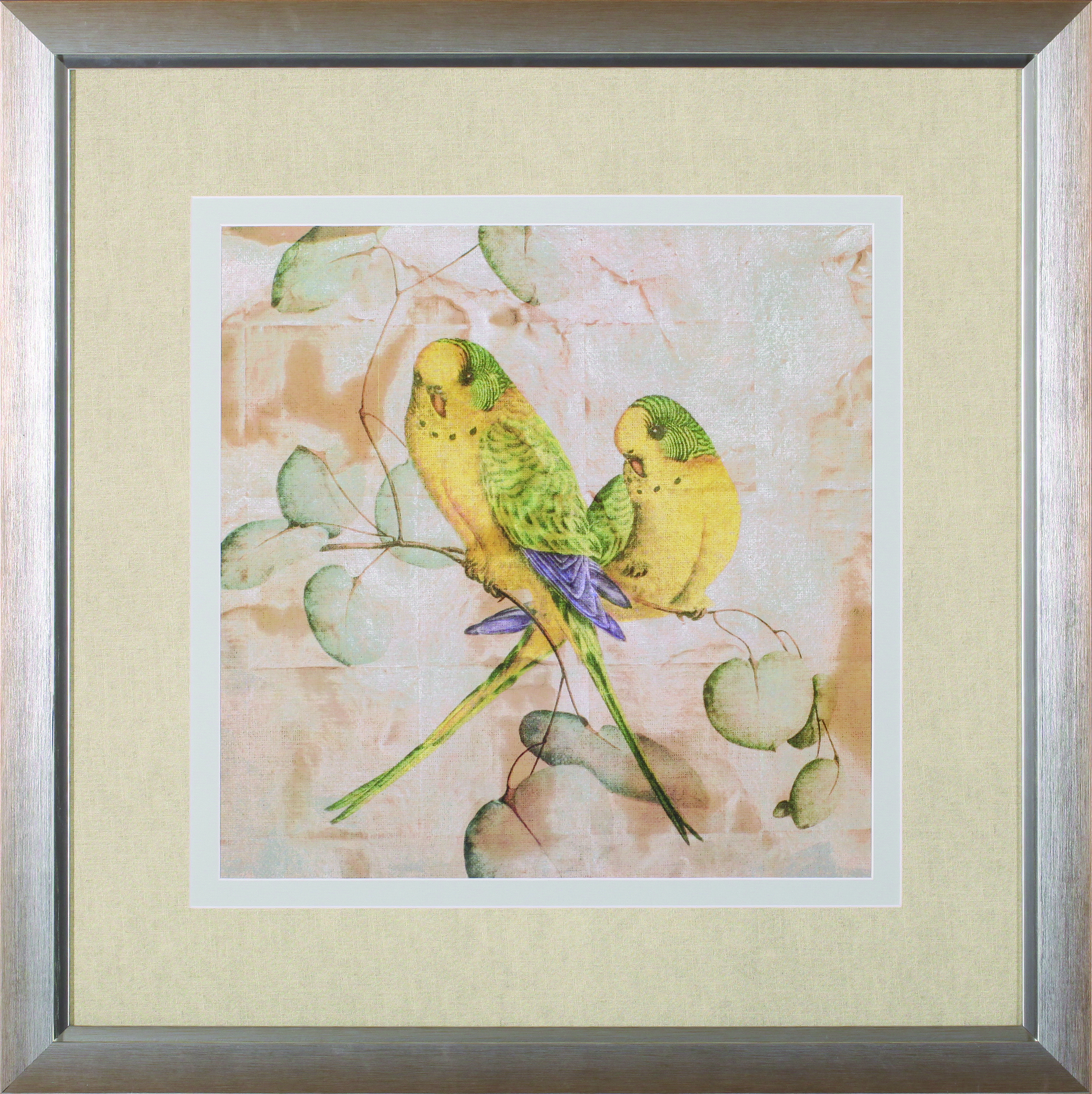 Art Effects Songbirds John Butler - Picture Frame Print | Wayfair