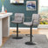Latitude Run® Amjed Swivel Adjustable Height Stool & Reviews | Wayfair