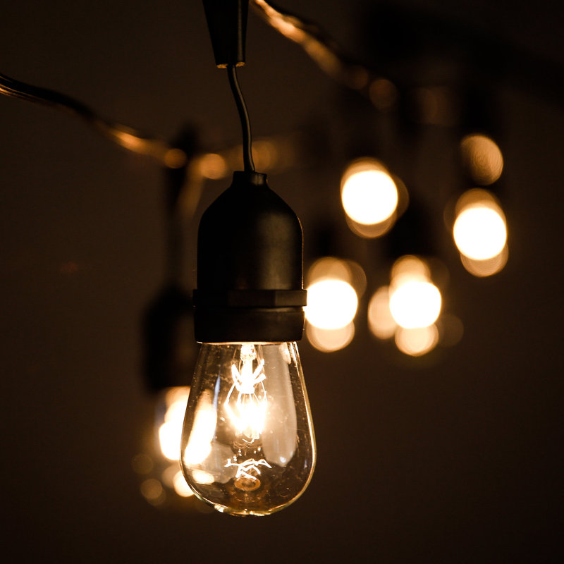 HometownEvolutionInc Outdoor 25 - Bulb 50'' Plug-in String Light ...