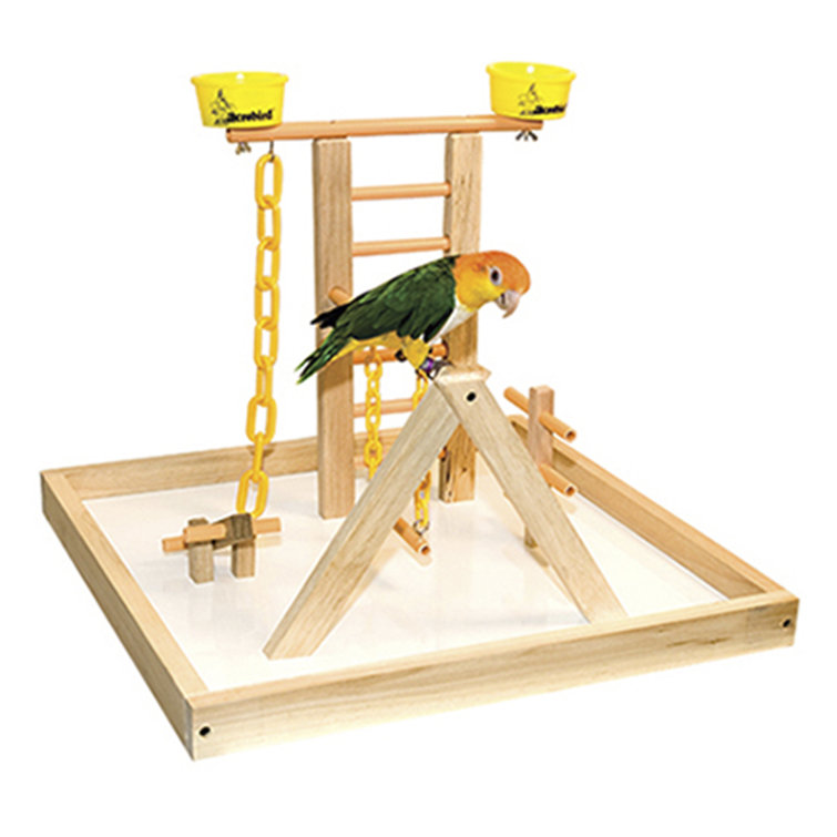 Featherland/Paradise 22'' Wood Bird Play Gym for Table Top | Wayfair