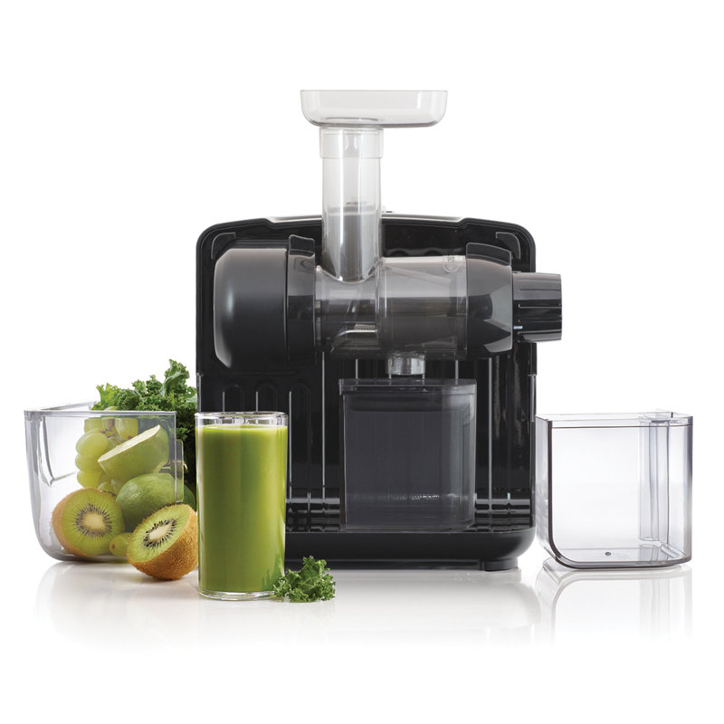 Omega Cold Press 365 Masticating Slow Juicer With On-Board Storage, In ...