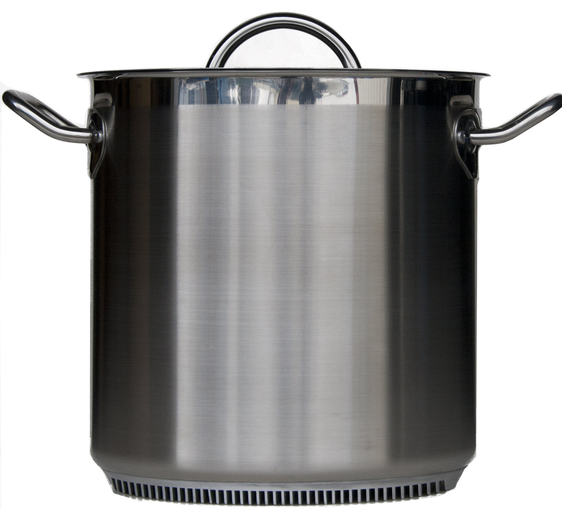 Turbo Pot Stainless Steel Stock Pot with Lid & Reviews | Wayfair