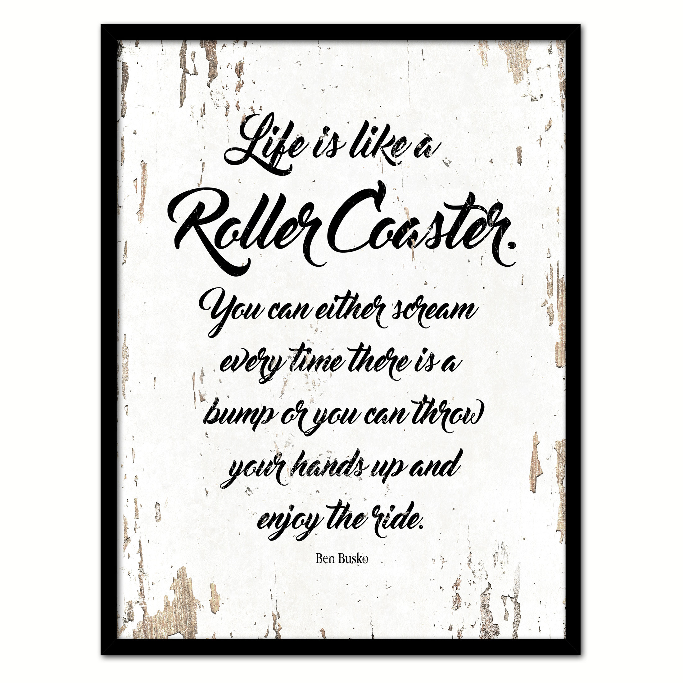 Winston Porter Life Is Like A Roller Coaster You Can Either Scream ...