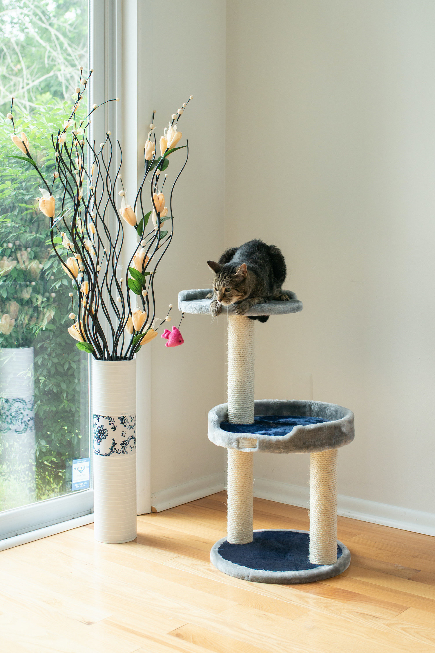 Armarkat 30" Real Wood Cat Condo & Reviews | Wayfair
