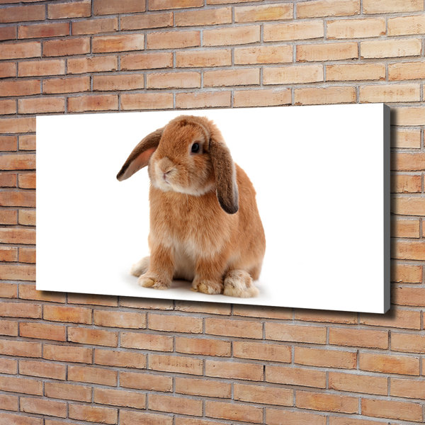 August Grove Red-Haired Rabbit - Wrapped Canvas Art Prints | Wayfair.co.uk