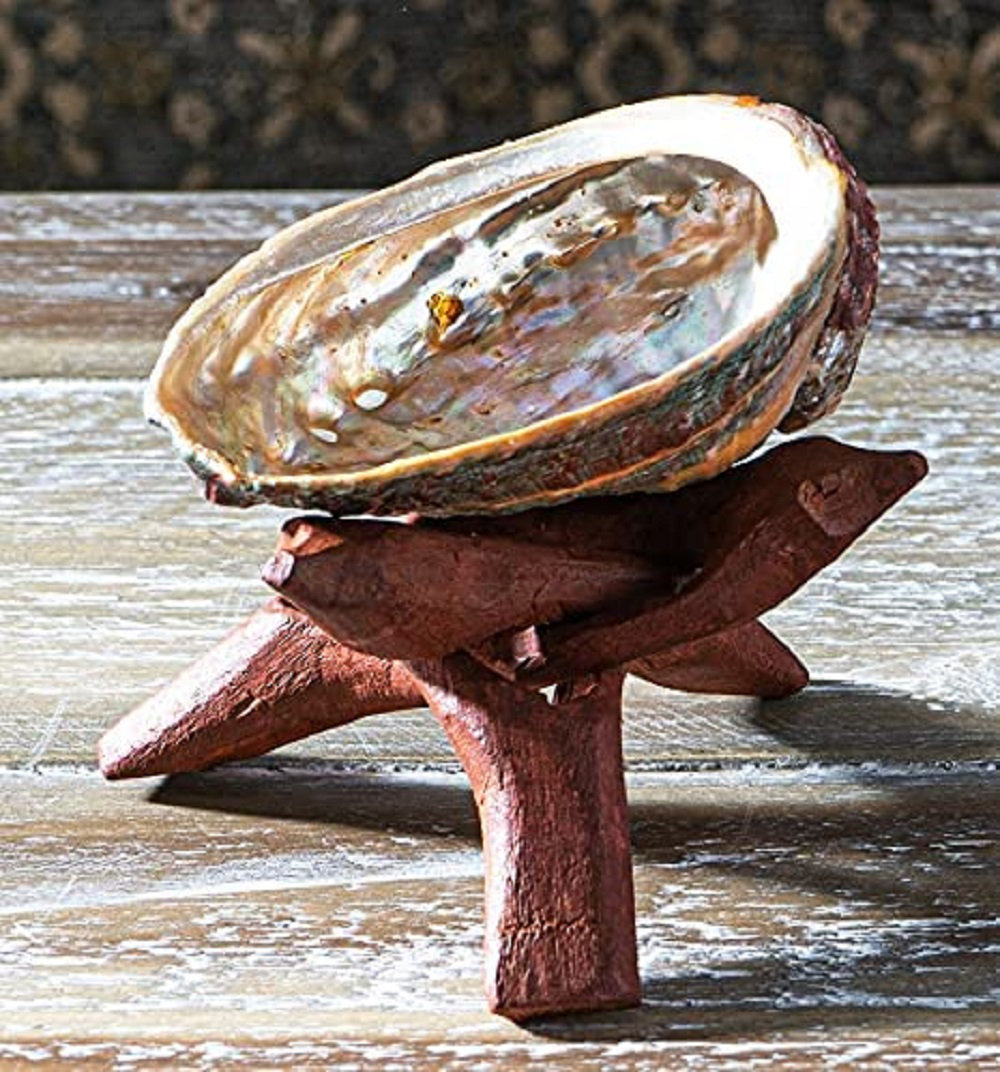 Rosecliff Heights Eunola Marine Abalone Shell with Interlocking Wood ...